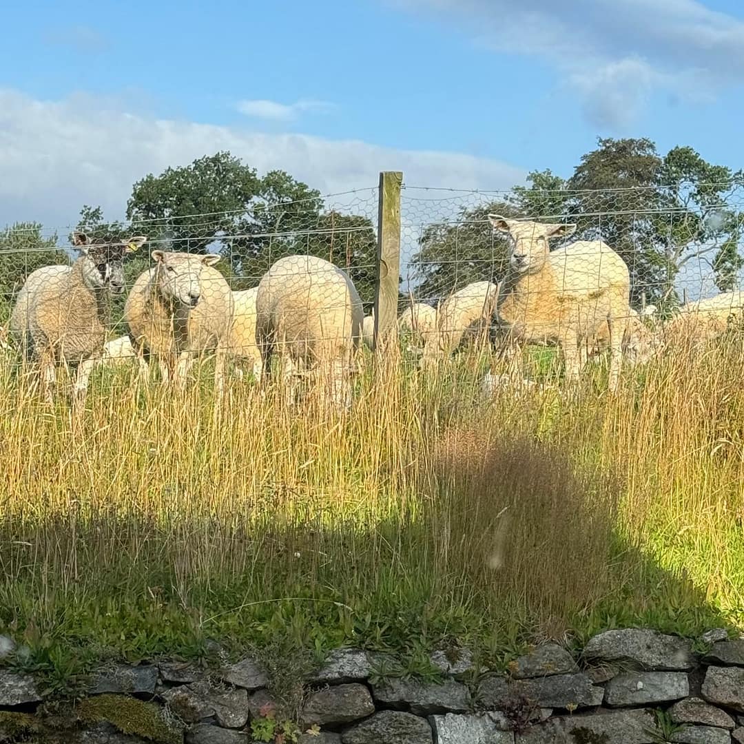Inclusive Farm Scotland at MacRobert
